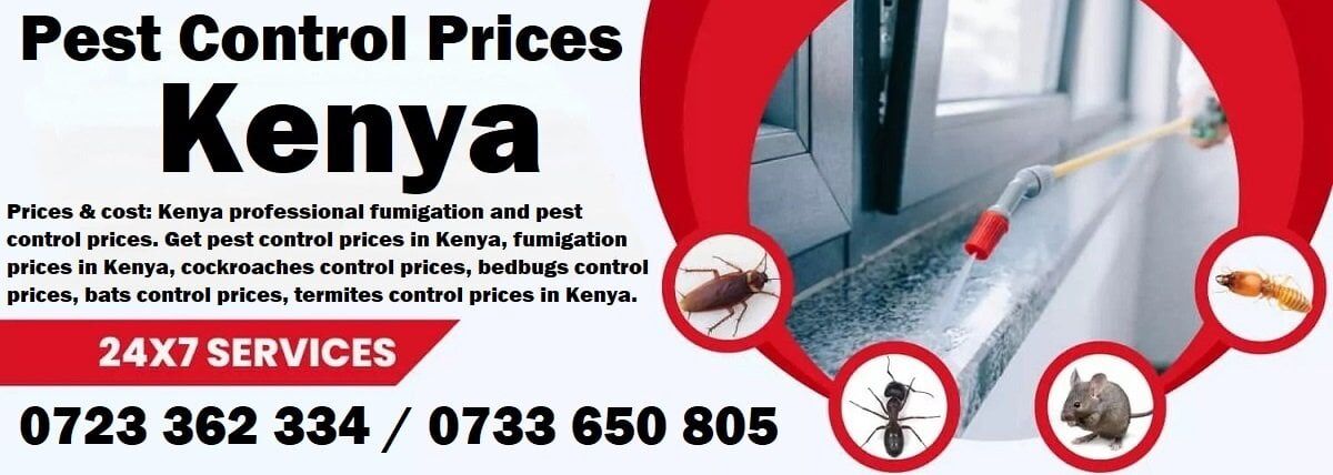 Jopestkil Kenya Cost Prices Fumigation & Pest Control Services