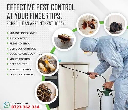 Jopestkil Kenya Best Expert Fumigation & Pest Control Services
