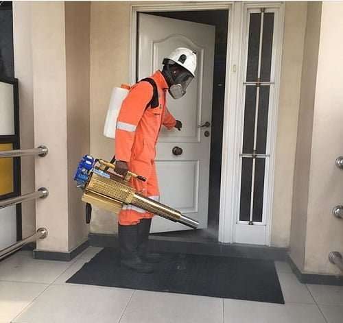 Jopestkil Kenya Best Expert Fumigation & Pest Control Services