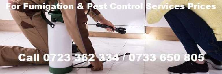 Jopestkil Kenya Cost Prices Fumigation & Pest Control Services